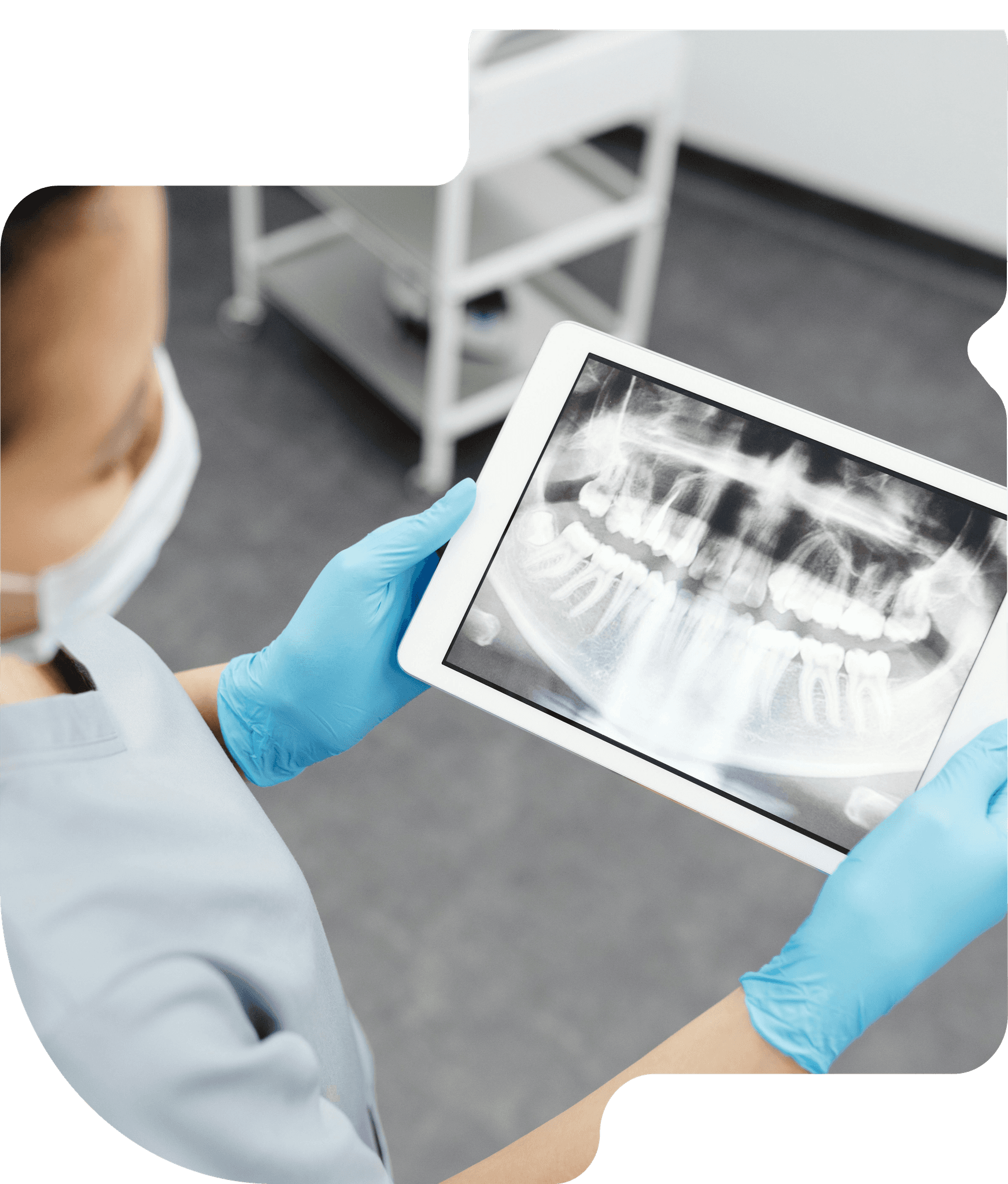 Dentitek - the #1 choice of Quebec dentists