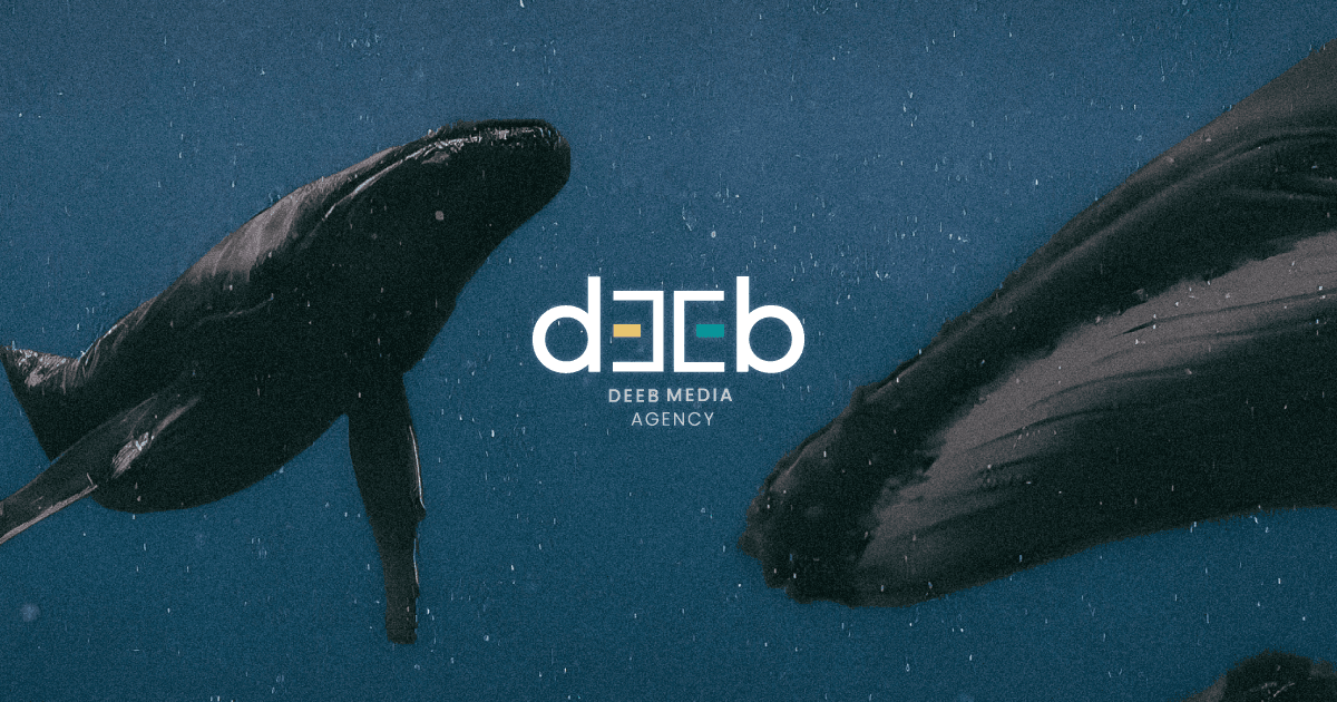 DEEB MEDIA — Art. Marketing. Storytelling.