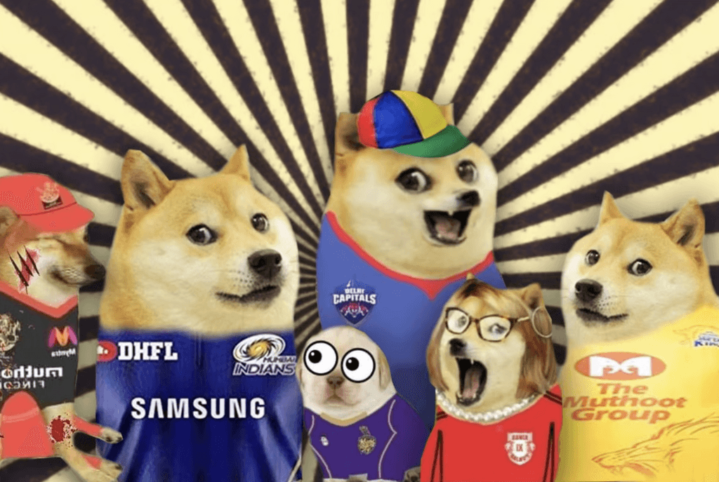 Kabosu Doge History of All Time