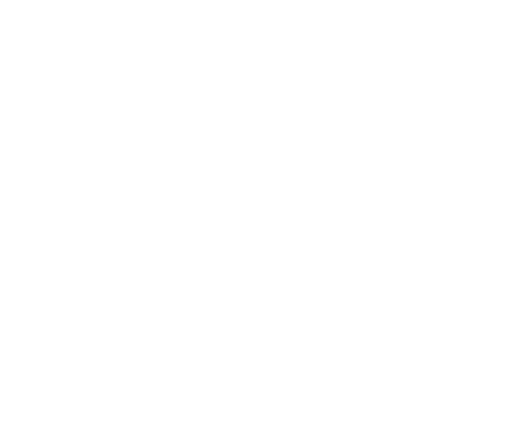 BrewBird - This Is Coffee, Transformed