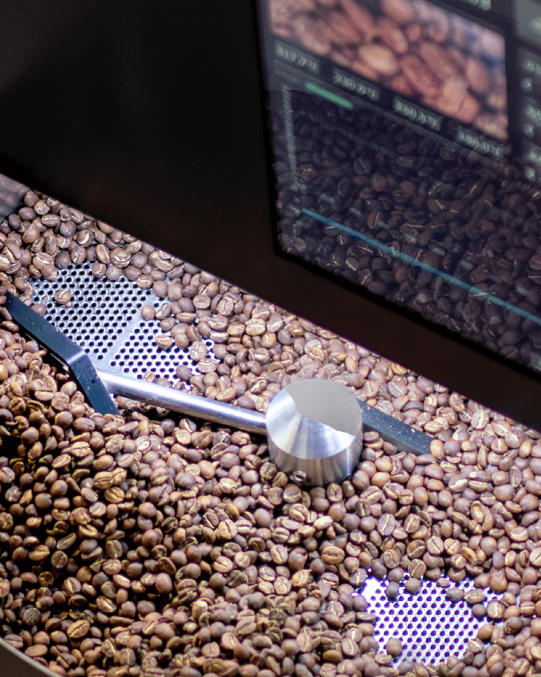 Atrium Coffee | Reclaiming Flavour From Seed To Cup