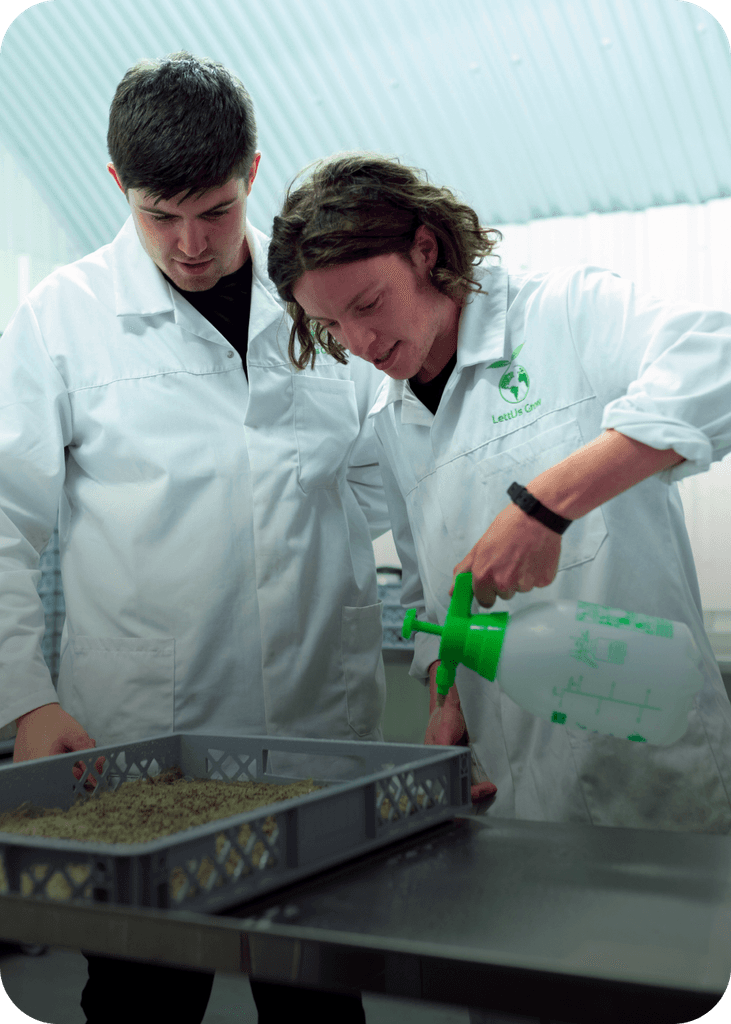 nFactorial School - курсы по программированию в Алматы, Казахстан с нуля онлайн