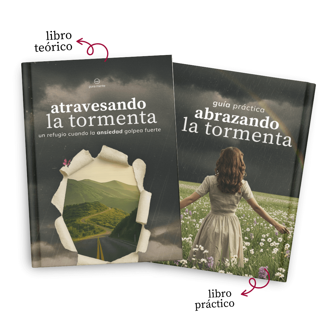 Atravesando la tormenta - El libro para superar la ansiedad