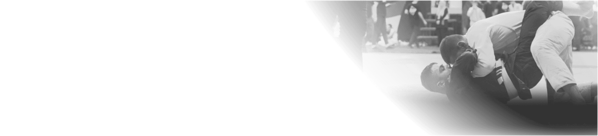 "BJJ Fanatics Courses" - Instructional listed on BJJ Resources