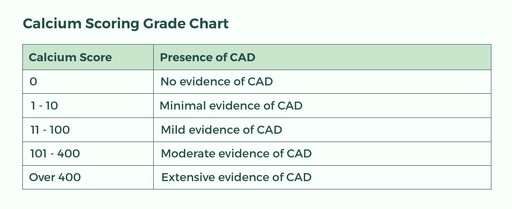 Significance of Coronary Artery Calcification on CT Scan | Docpanel