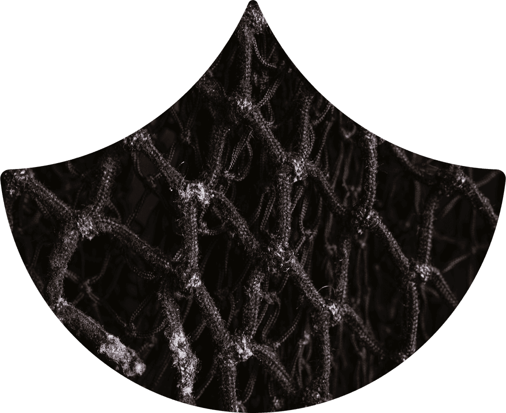 Bureo® – Makers of NetPlus® Material, 100% Recycled Fishing Net