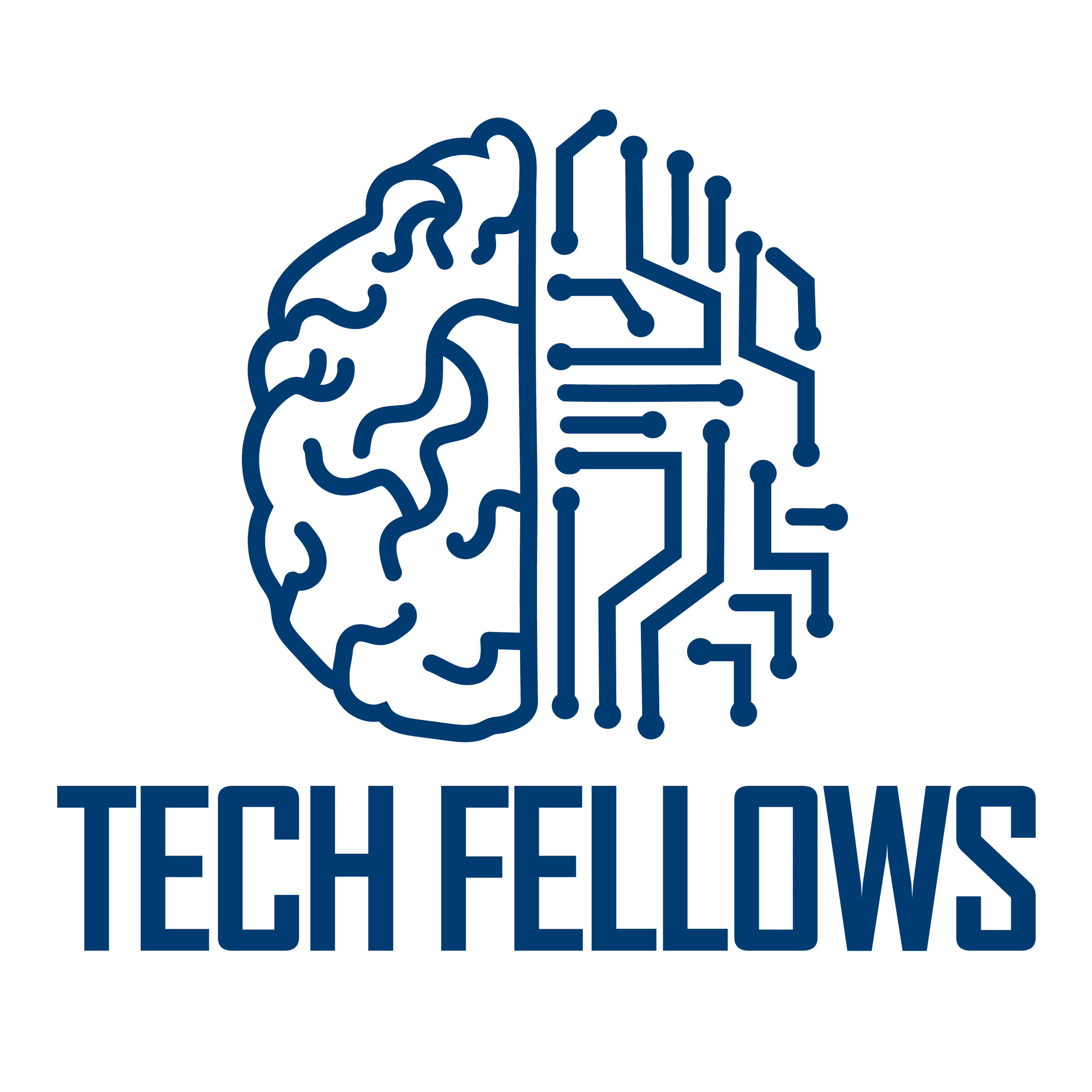 Pamplin Tech Fellows