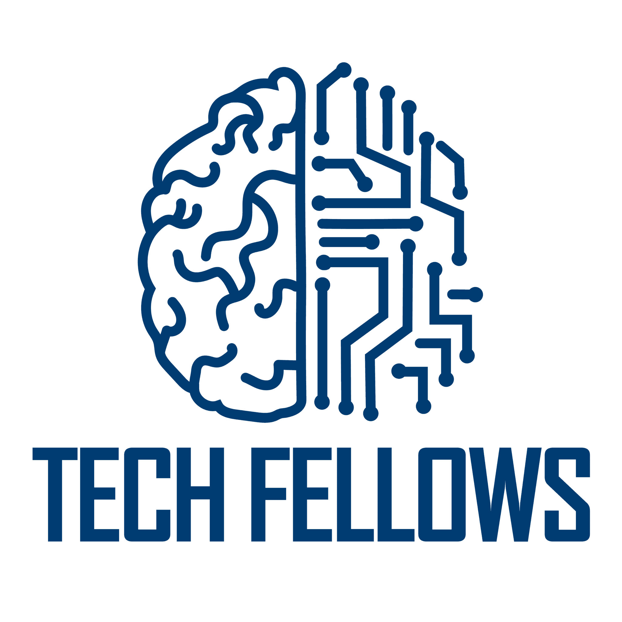 Pamplin Tech Fellows