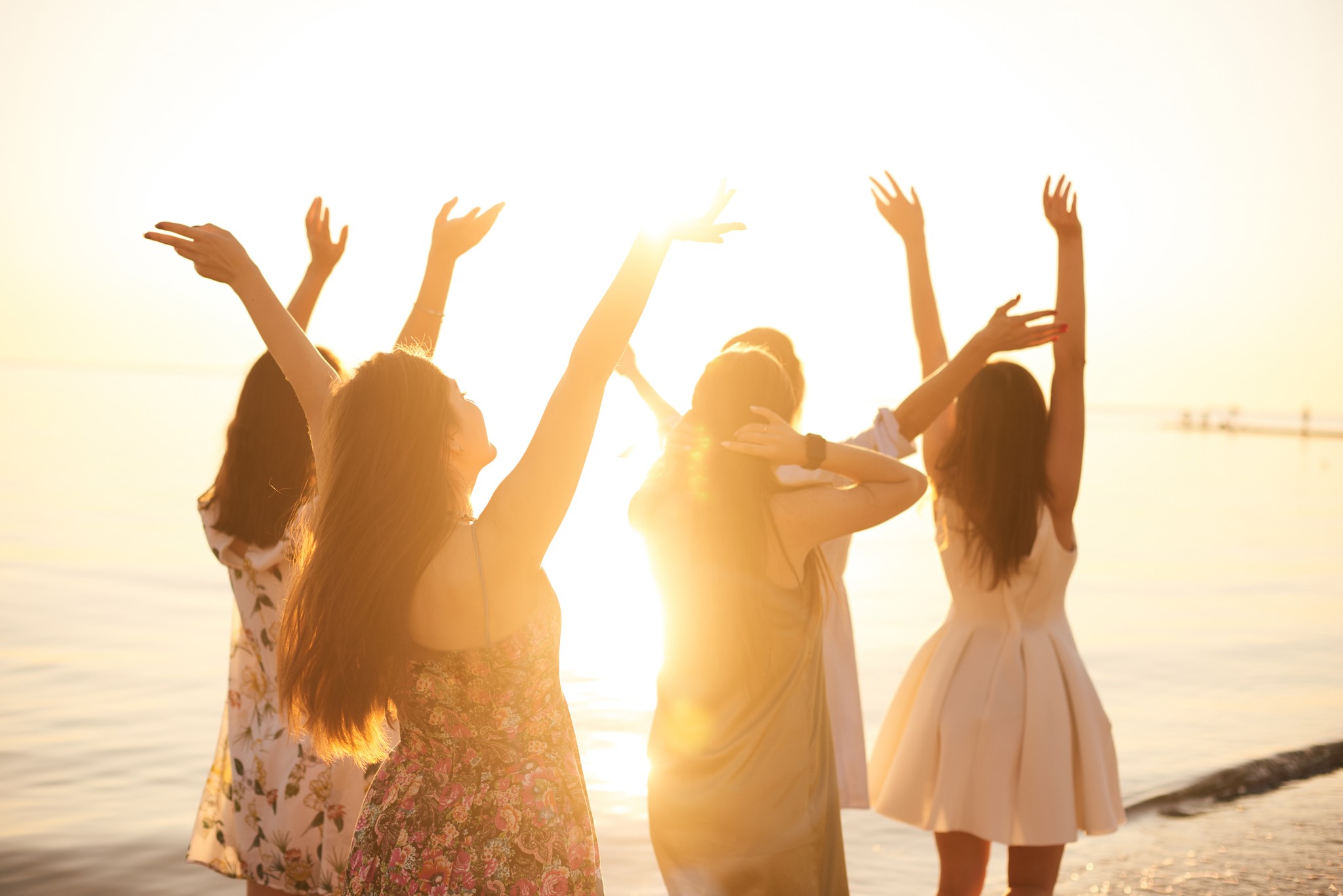 Shadowmap Learn | Knowledge base