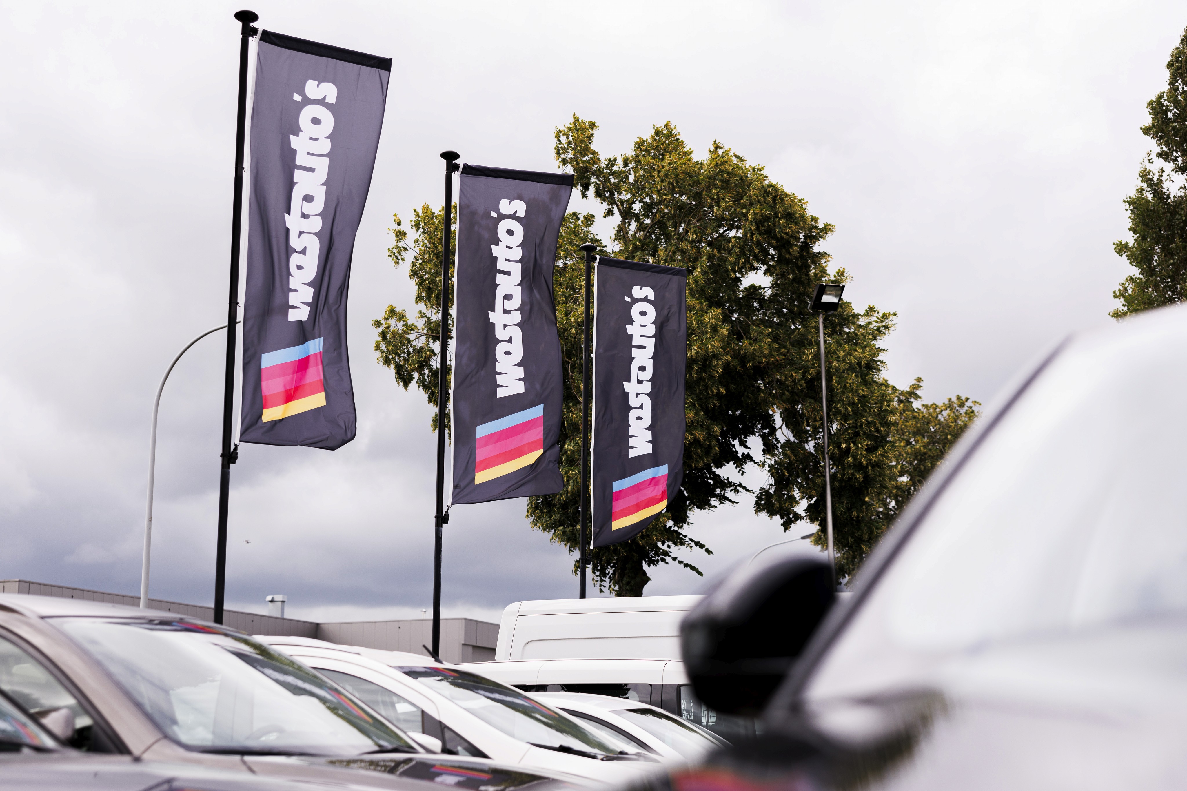 Westauto's - Gespecialiseerd in de aankoop en verkoop van alle wagens.