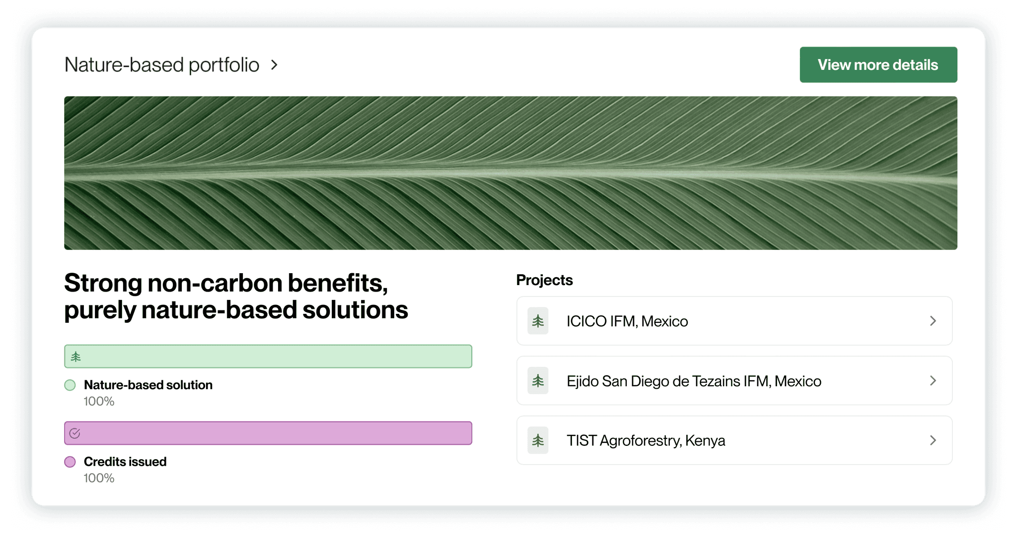 Carbon Direct Platform Updates Q4 2023 | Carbon Direct