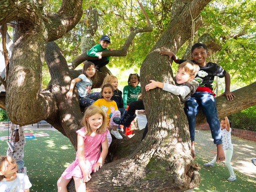 Grade R | The Grove Primary School