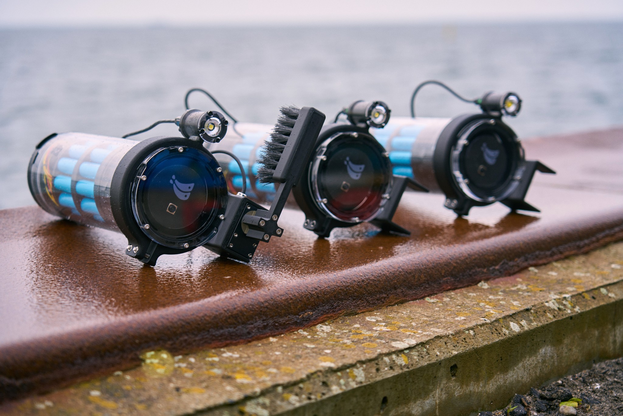Anemo Robotics | AI-Powered Marine Monitoring Solutions