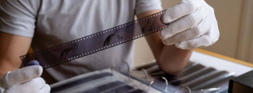 The Essential Guide to Archiving Film Negatives - Film photography reasons