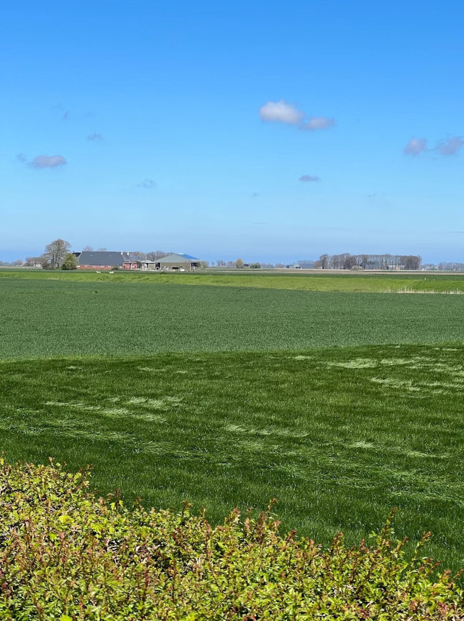 IKI AI – Intelligent Knowledge Interface