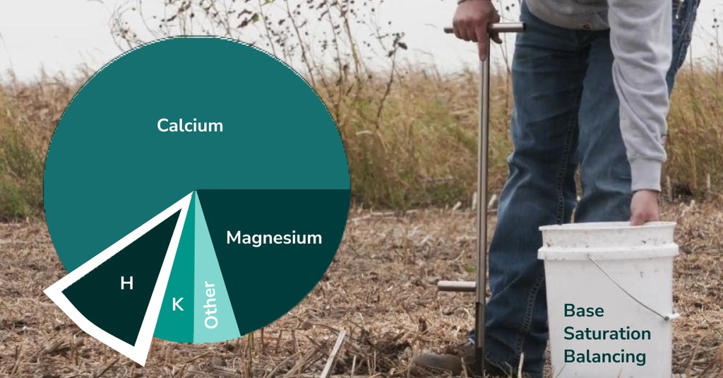 Base Saturation Balancing: Achieving the Ideal Ratio for Optimal Crop ...