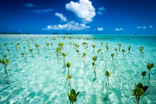 TUVALU Heritage: Museums, Landmarks & Culture