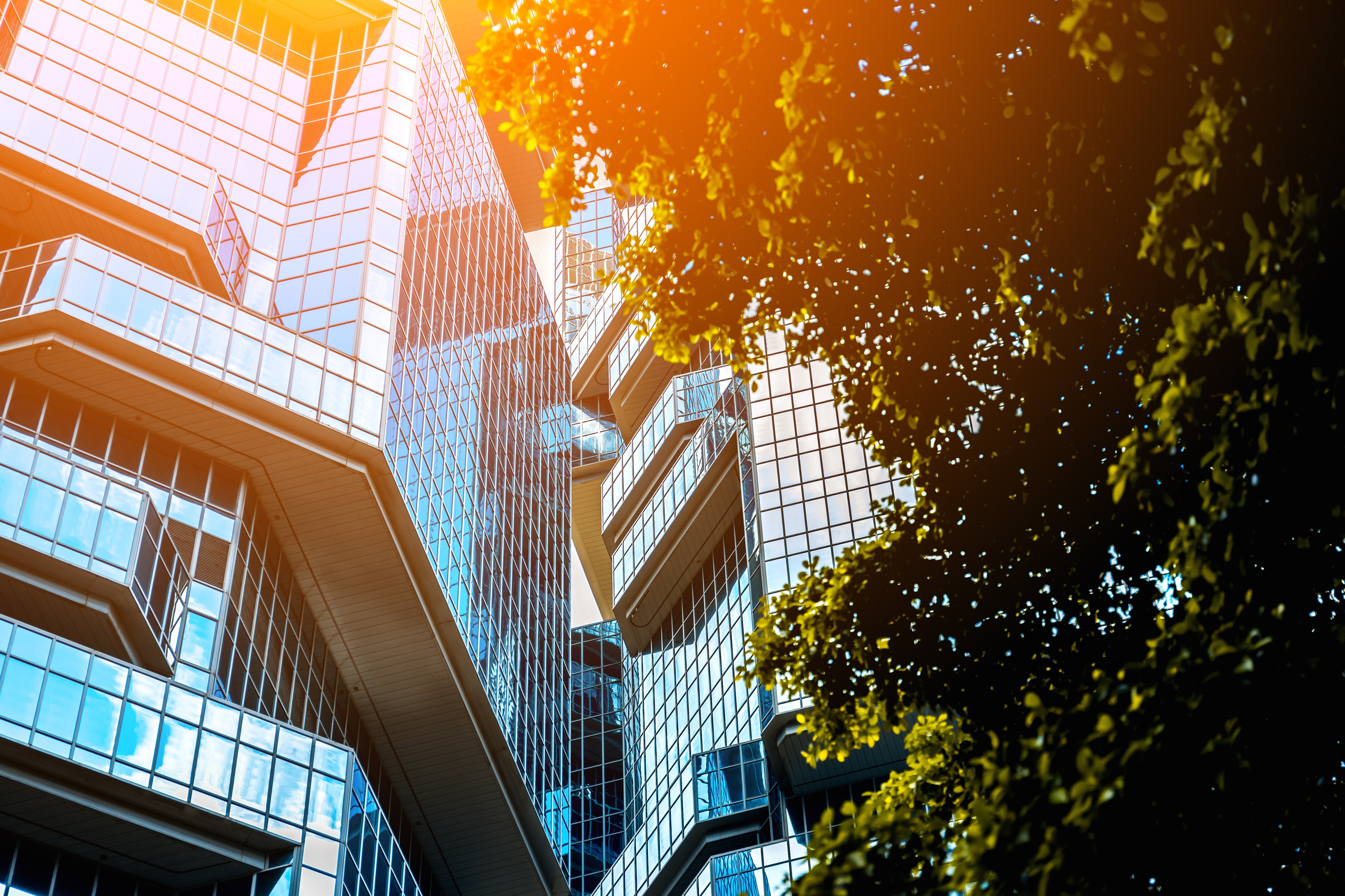 Shadowmap Learn | Knowledge base