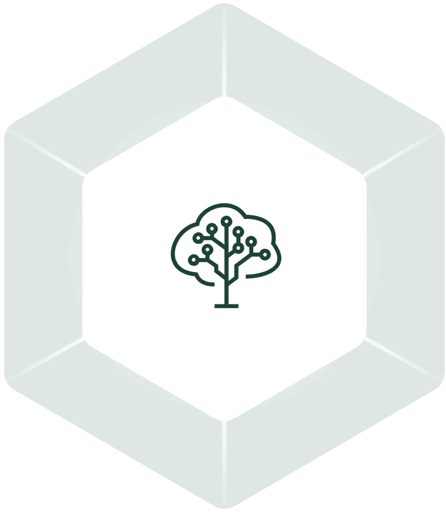 Brainforest - Venture Program