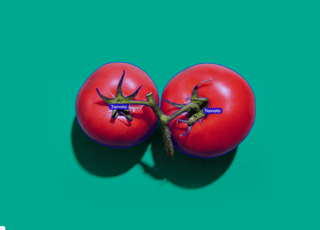 What Is Data Annotation? Definition, Tools, Datasets [Guide]