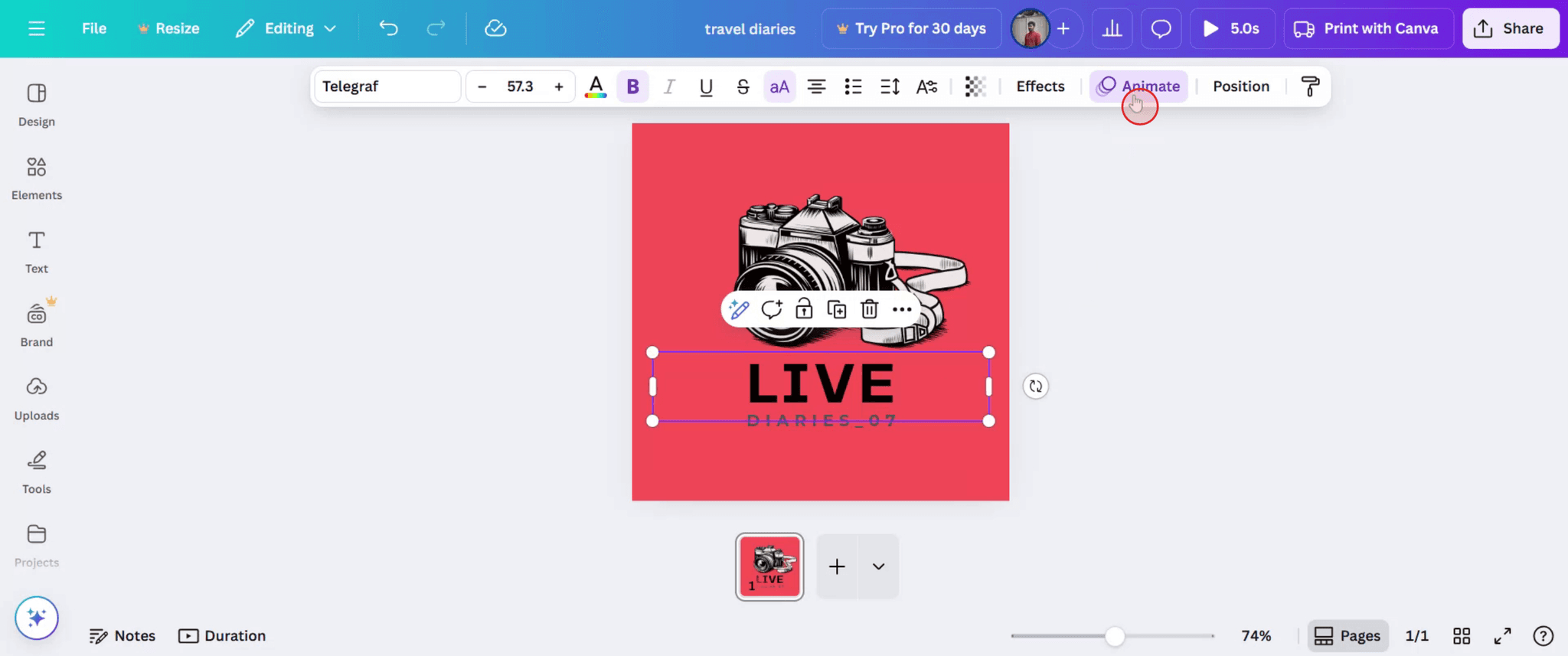 How to Remove Animation from Canva - 1 minute video guide