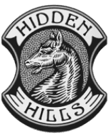 Bridle - For the Modern Equestrian