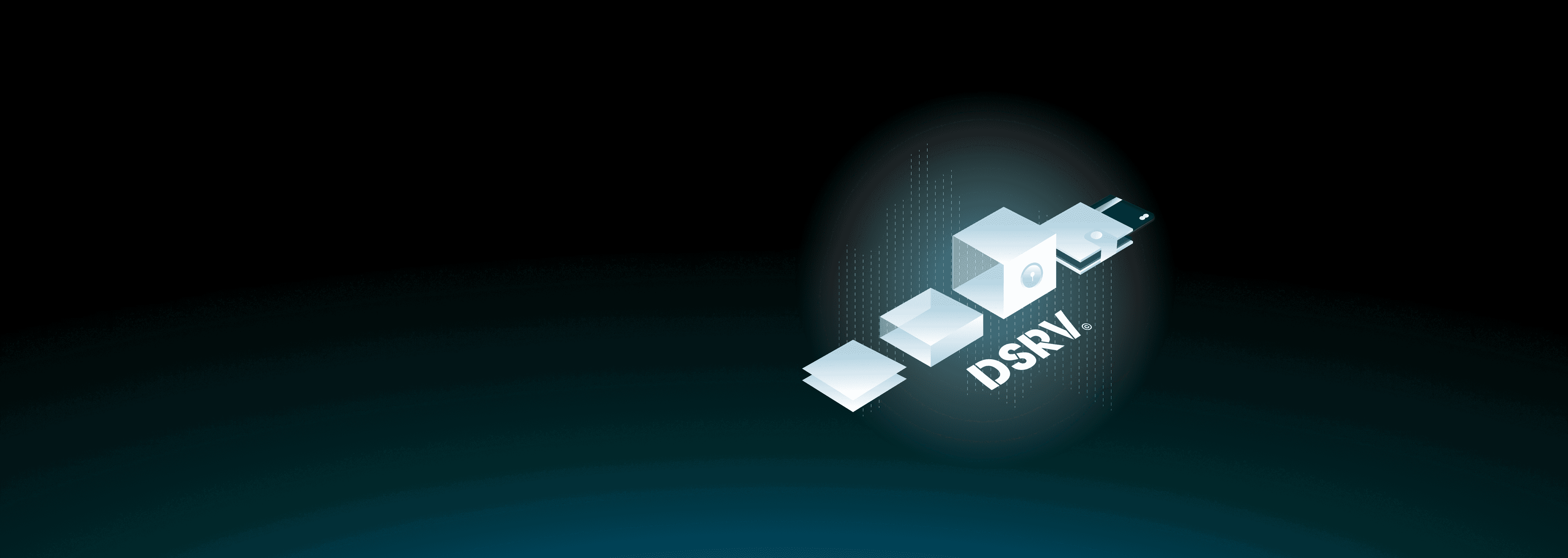 DSRV | The Next Financial Infrastructure You DeSeRVe