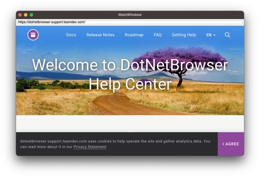 DotNetBrowser Meets Avalonia - Avalonia UI