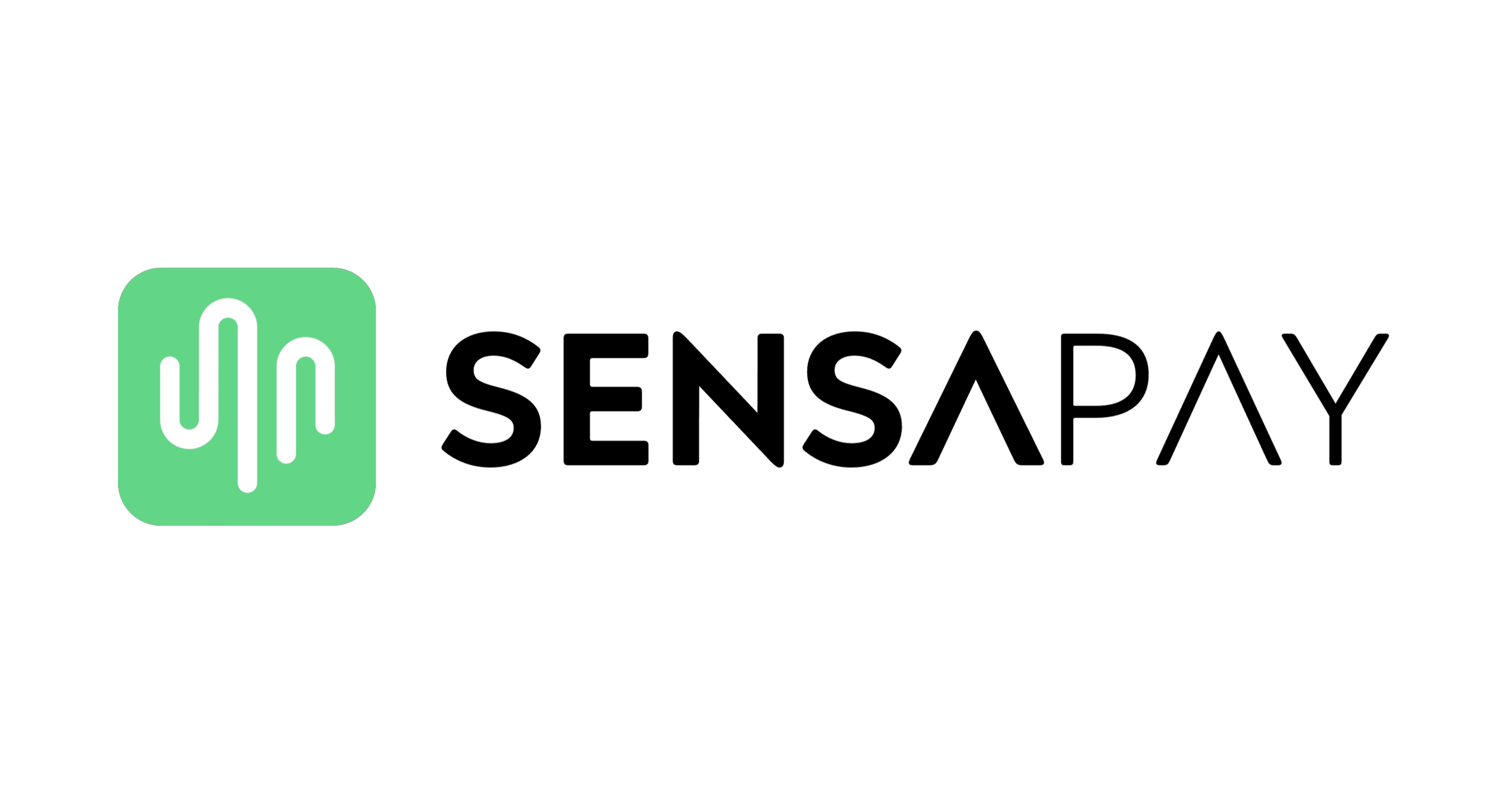 All-in-One Payment Solutions for Your Business | Sensapay