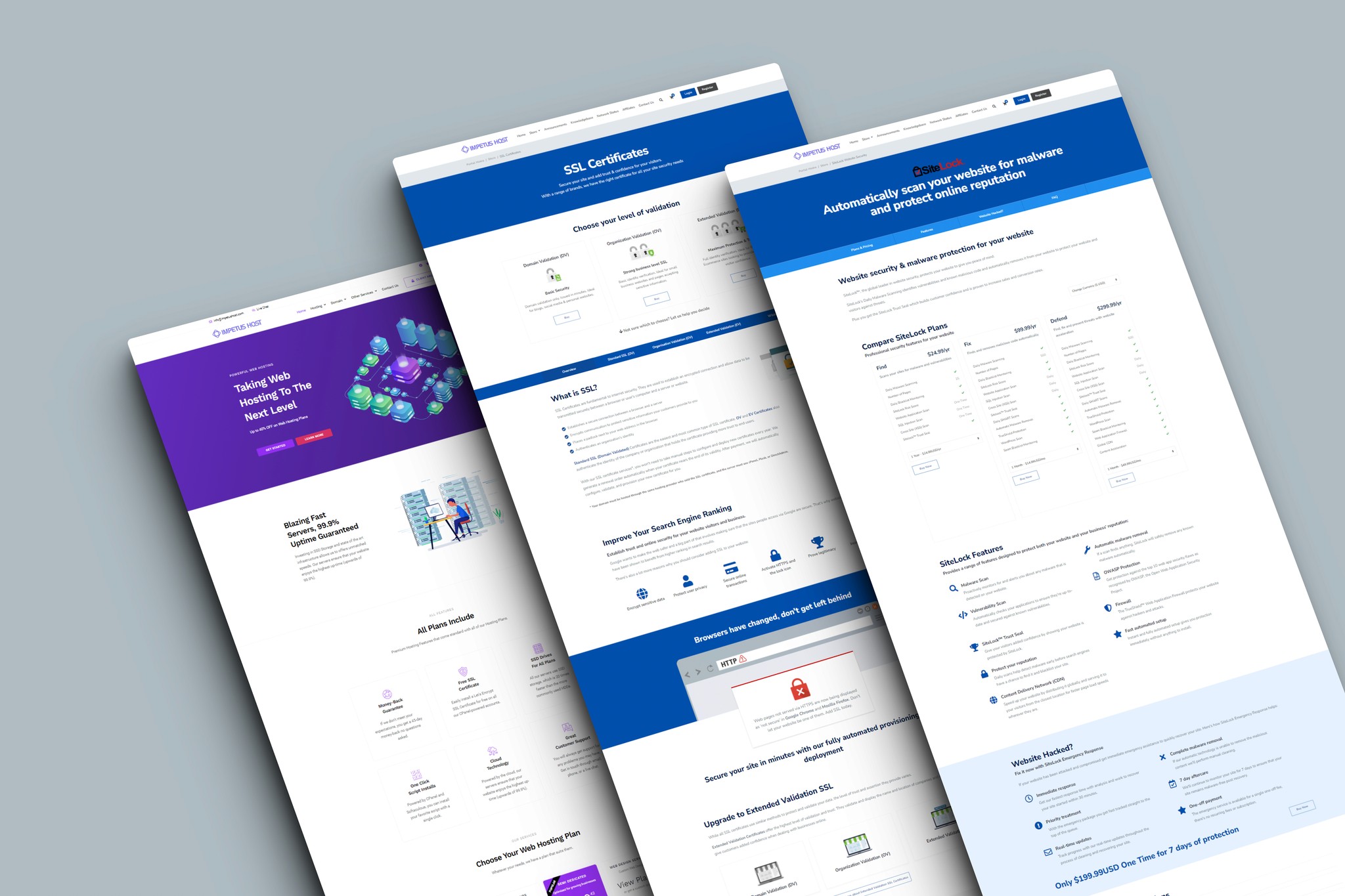 Web Design & Digital Marketing Agency - Web Impetus