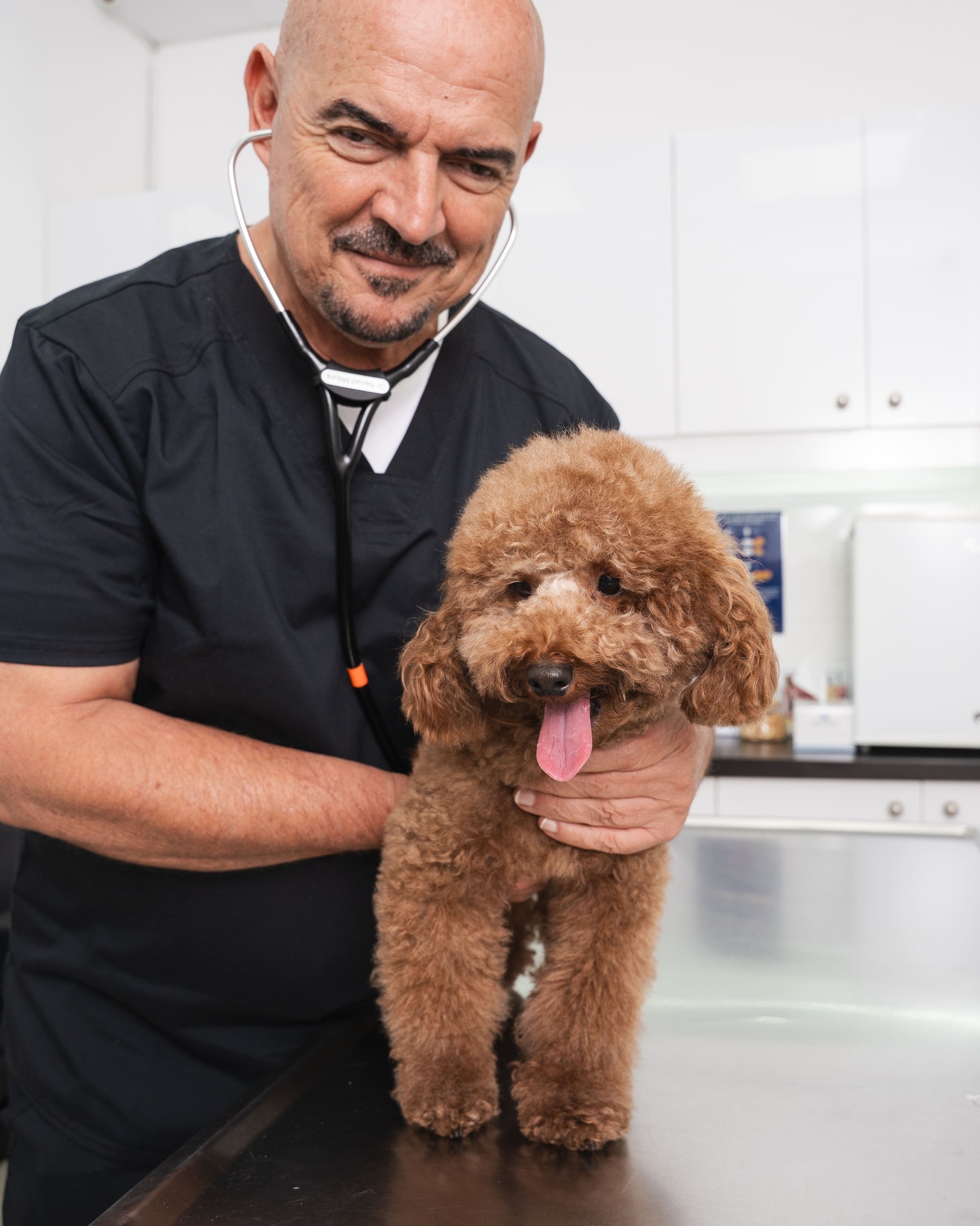 Can Dogs Eat Popcorn? What You Need to Know