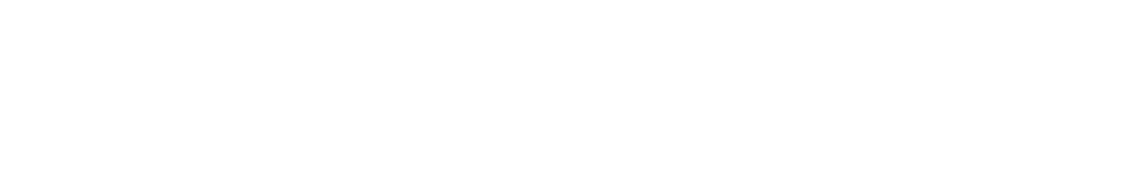 netorium AG – Kompetenzcenter und Technologiescout für die Medienindustrie