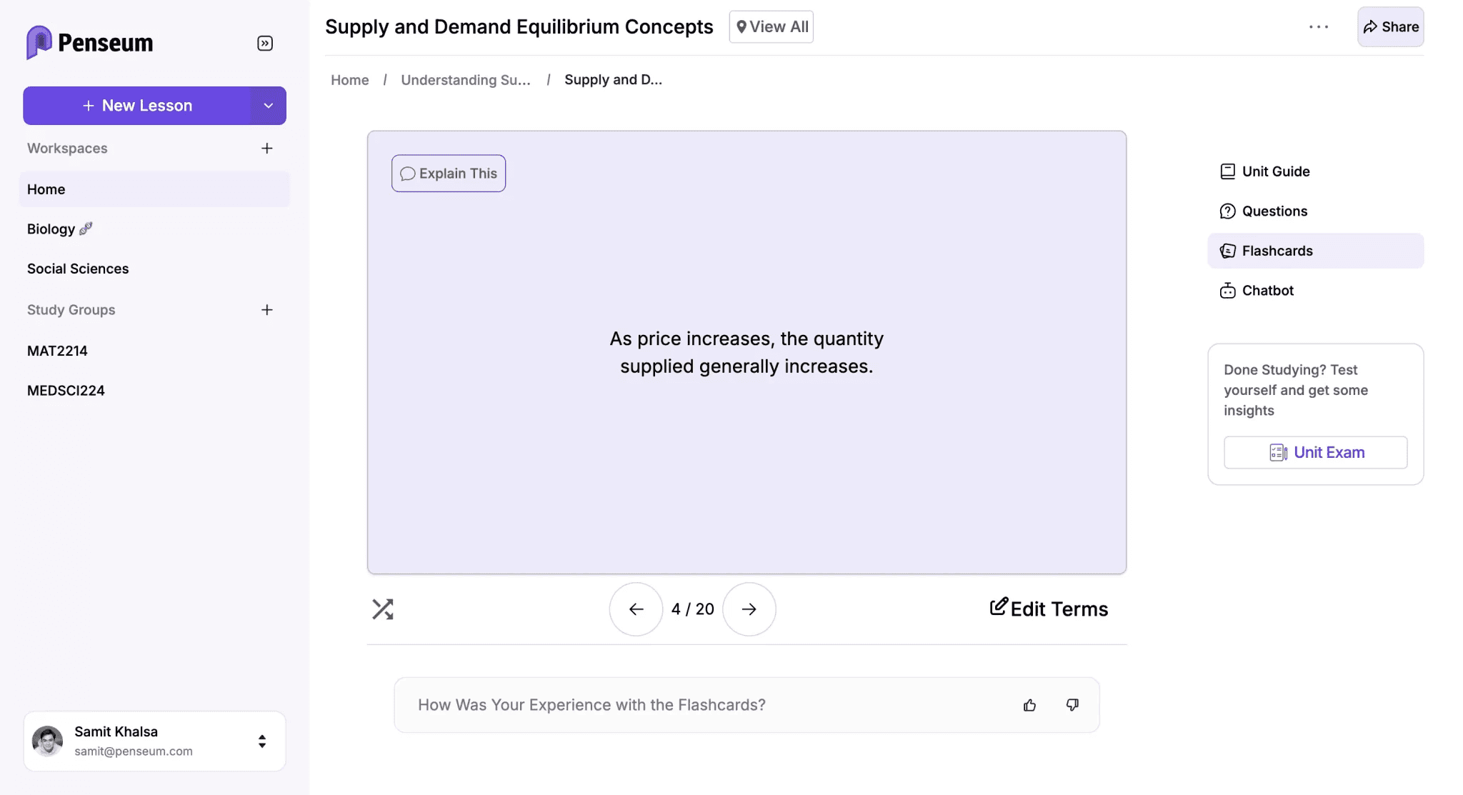 AI Tutor and Study Guide for Economics - Penseum