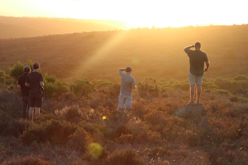 Nyosi Wildlife Reserve