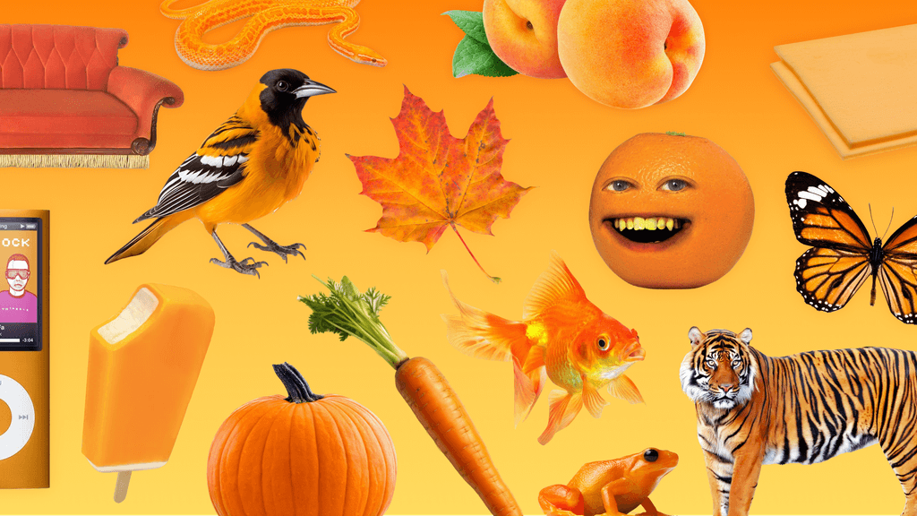 72 Orange things, ranked