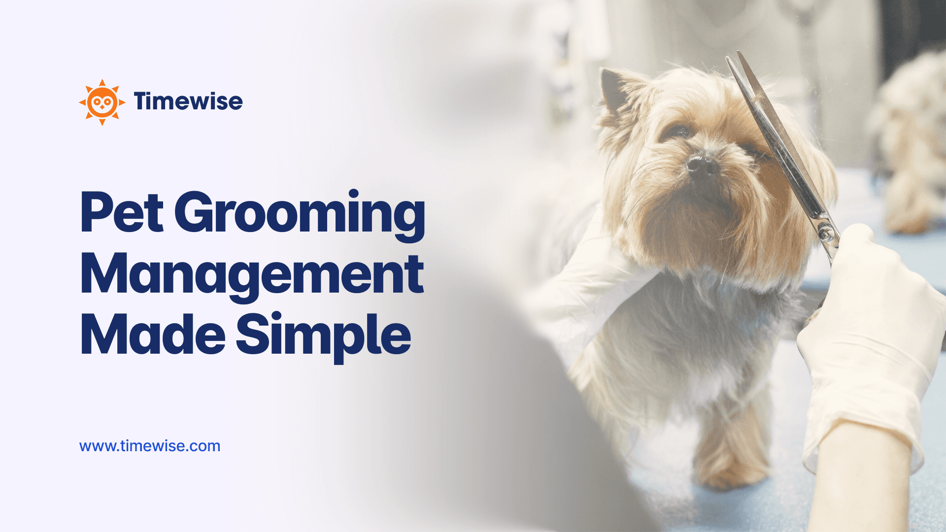 Pet Grooming Management - Timewise.com