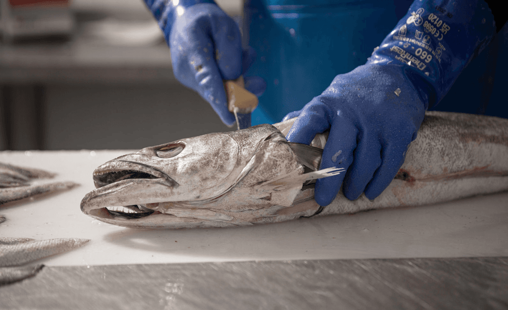 Glenmar Shellfish Ltd.