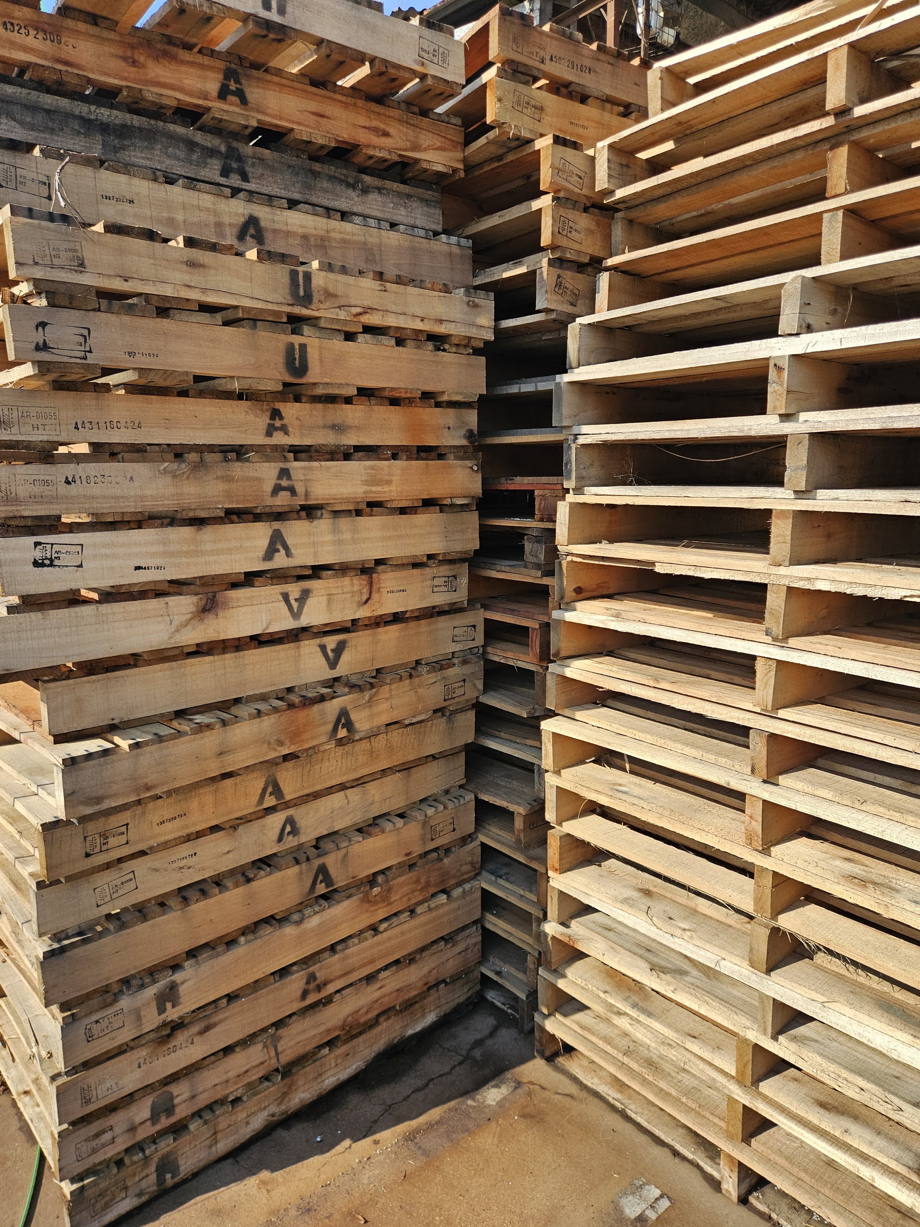 Venta de Pallets en Argentina – Nuevos, Usados y a Medida - PalletCo