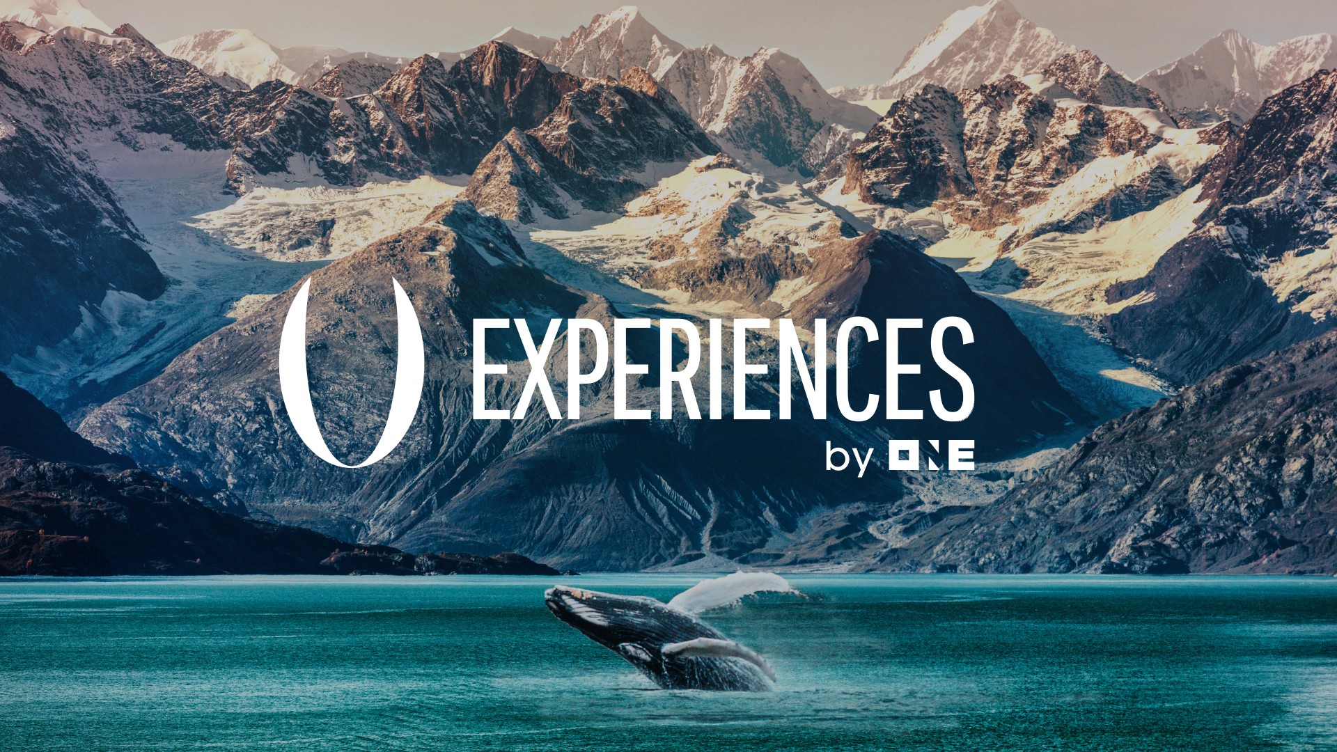 U Experiences by ONE