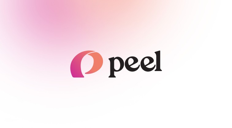 Add an Interactive AI Voice to Your Content | Peel