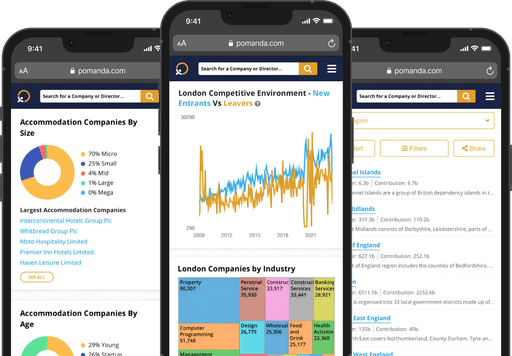 Big Picture Software | Bridge Between Ideas and Execution