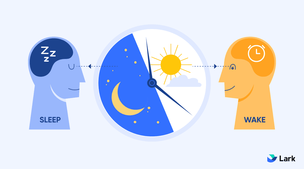 Rotating Shifts: Definition, Pros, Tips, and More | Lark Blog