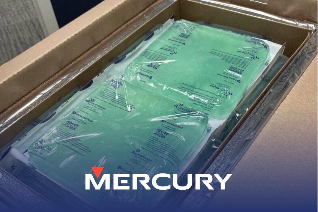 Guide to Choosing Cold Chain Box Size for Shipping | Mercury