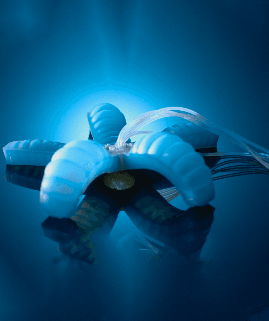 Holland Hybrid Heart