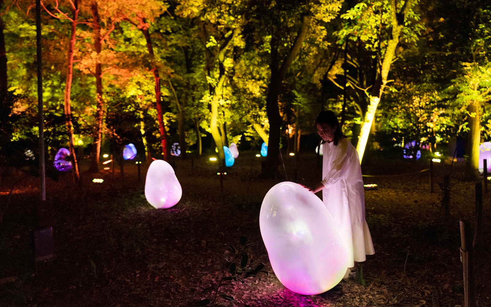 teamLab Botanical Garden Osaka Entry Tickets