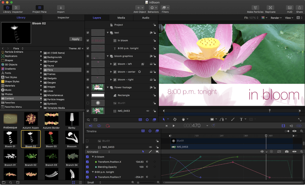 Best Alternatives to Adobe After Effects - Vagon