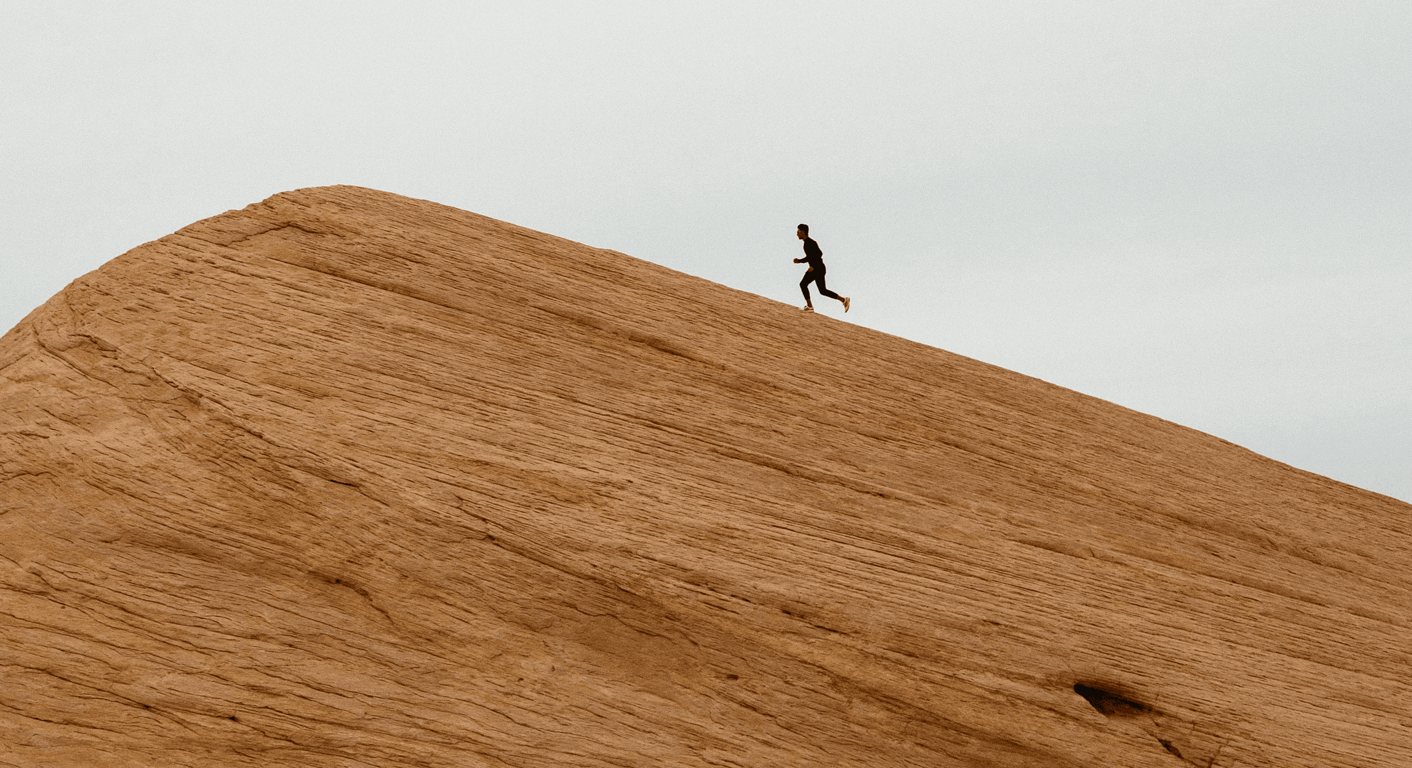 Meco: The #1 newsletter aggregator | Declutter your inbox