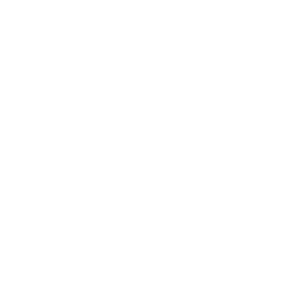 LFS Inc. | Websites
