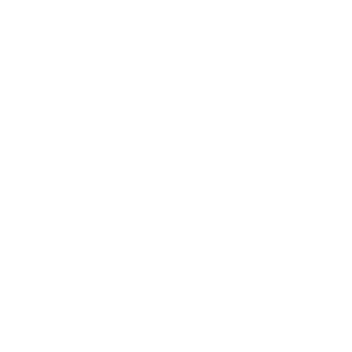 LFS Inc. | Websites