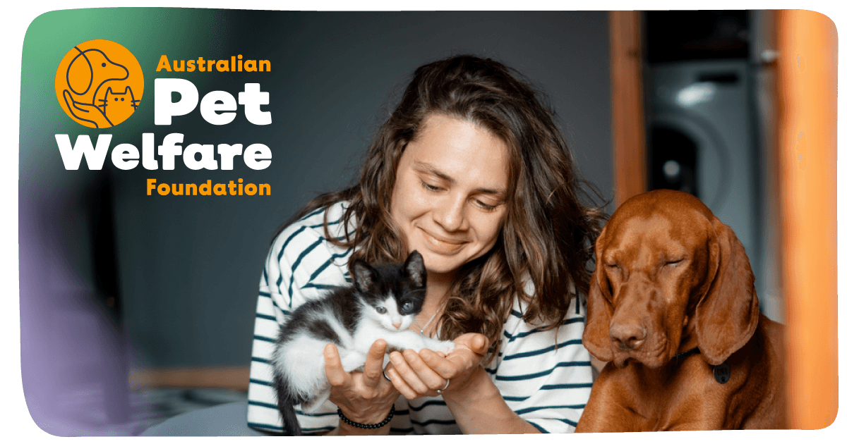 Community Cat Programs: manage cat populations